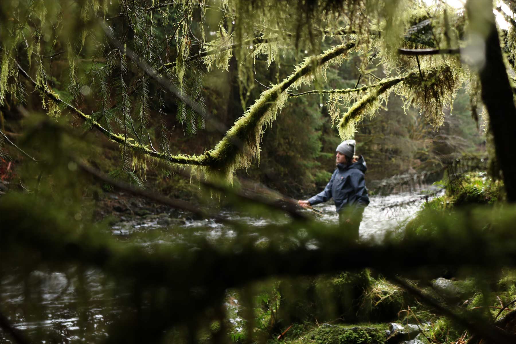 About | Steelhead Alaska